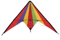 Customized Color Delta Stunt Kite For Kids / Adults Playing Various Size