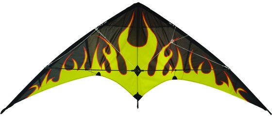 Autumn polyester Delta stunt kite , 120~180cm wing span for kids and adults