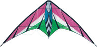 Fashion dragon style  nylon Delta stunt kite ,Jazze Delta sports kite