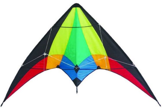 Autumn polyester Delta stunt kite , 120~180cm wing span for kids and adults