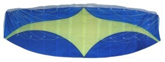 Autumn Polyester Kite 120~200cm Wing Span 140*55cm Oem / Odm Acceptable