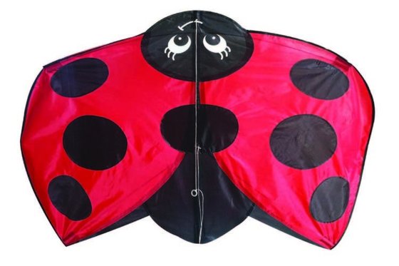 Single Line Type Ladybird Kite With  Fiberglass Frame Spring Season Outdoor Playing Use