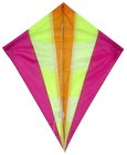 Simple Design Sky Diamond Kite , Stylish Type Nylon Stunt Kite For Beginners