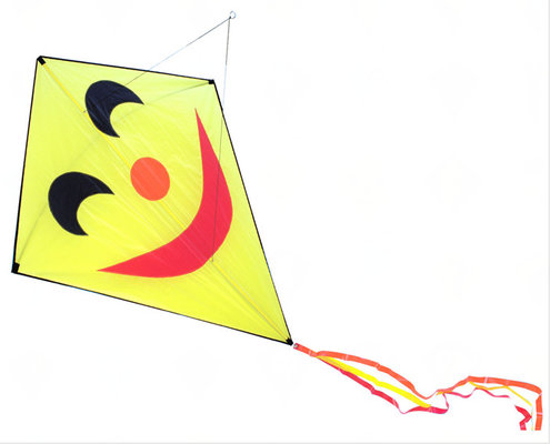 Fiberglass Frame Diamond Stunt Kite Kid Use With 30m String Line 124*152cm