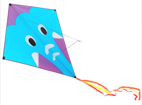 Fiberglass Kid 30m String Line 124*152cm Diamond Stunt Kite