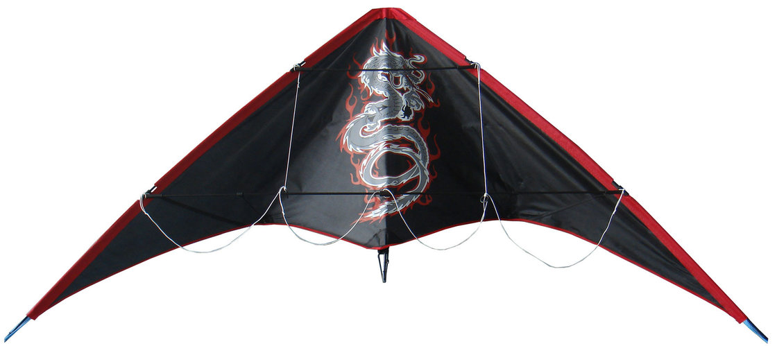 Fashion dragon style  nylon Delta stunt kite ,Jazze Delta sports kite