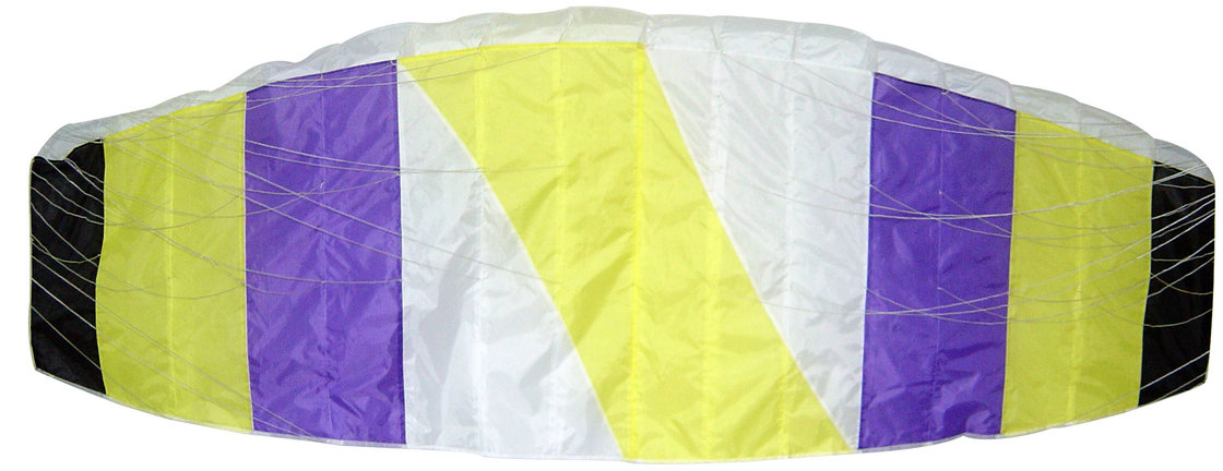 Easy Assembled Dual Line Kite Rip Stop Nylon Material For Adults 300*100cm