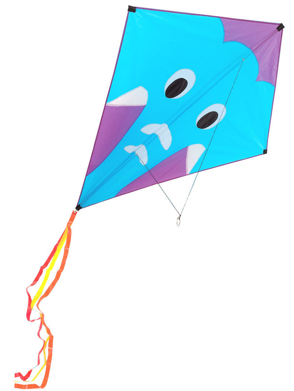 Fiberglass Kid 30m String Line 124*152cm Diamond Stunt Kite